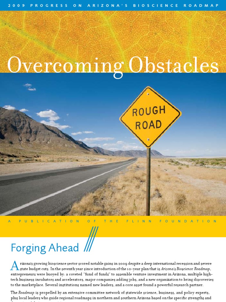 Progress Report Brochure 2009 | PDF | Arizona State University ...