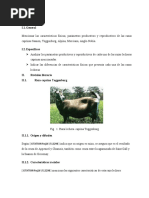 Raza Caprina Anglo-Nubian: Características y Cuidados | PDF | Cabra | Leche