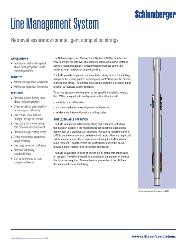Line Management System Ps | PDF | Pipe (Fluid Conveyance) | Computing
