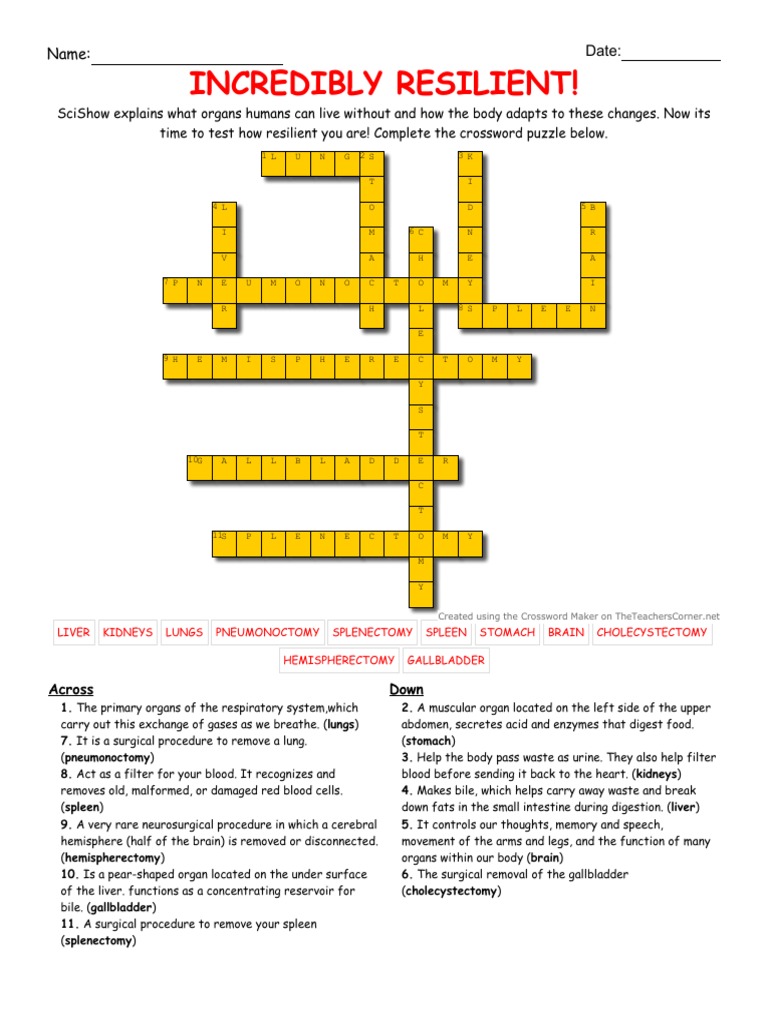 crossword-ANSWER KEY | PDF | Gallbladder | Liver