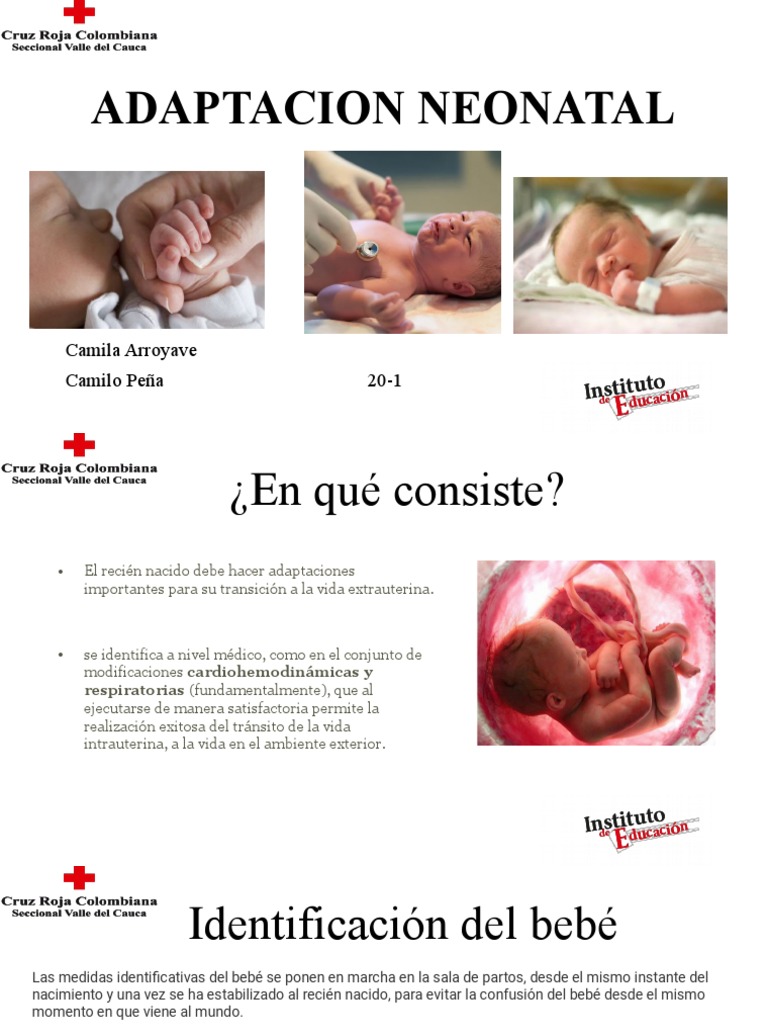 Adaptacion Neonatal | PDF | Infantes | Parto