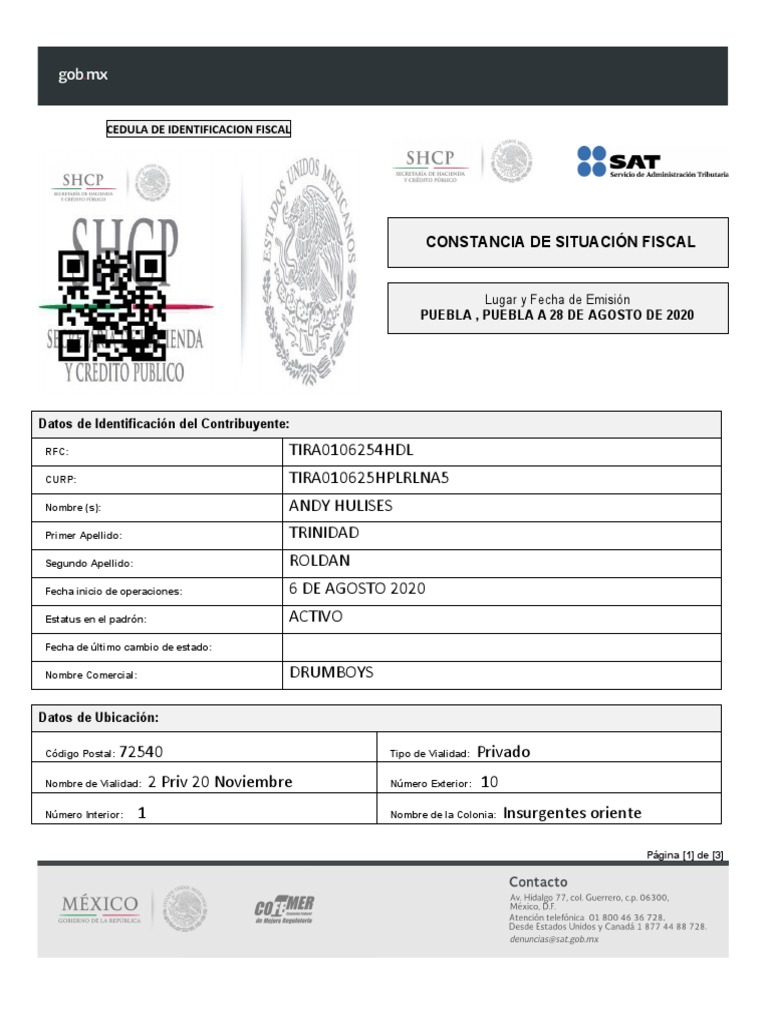 Cédula de Identificación Fiscal SAT | PDF | Gobierno | Business