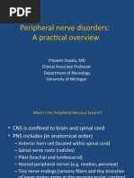 Sample Emg/Ncv Report - Normal Study | PDF | Electromyography ...