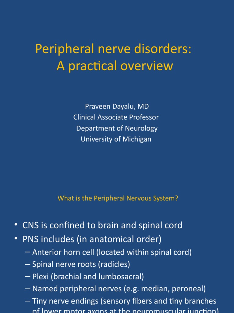 Overview of Peripheral Nerve Disorders | PDF | Peripheral Neuropathy ...