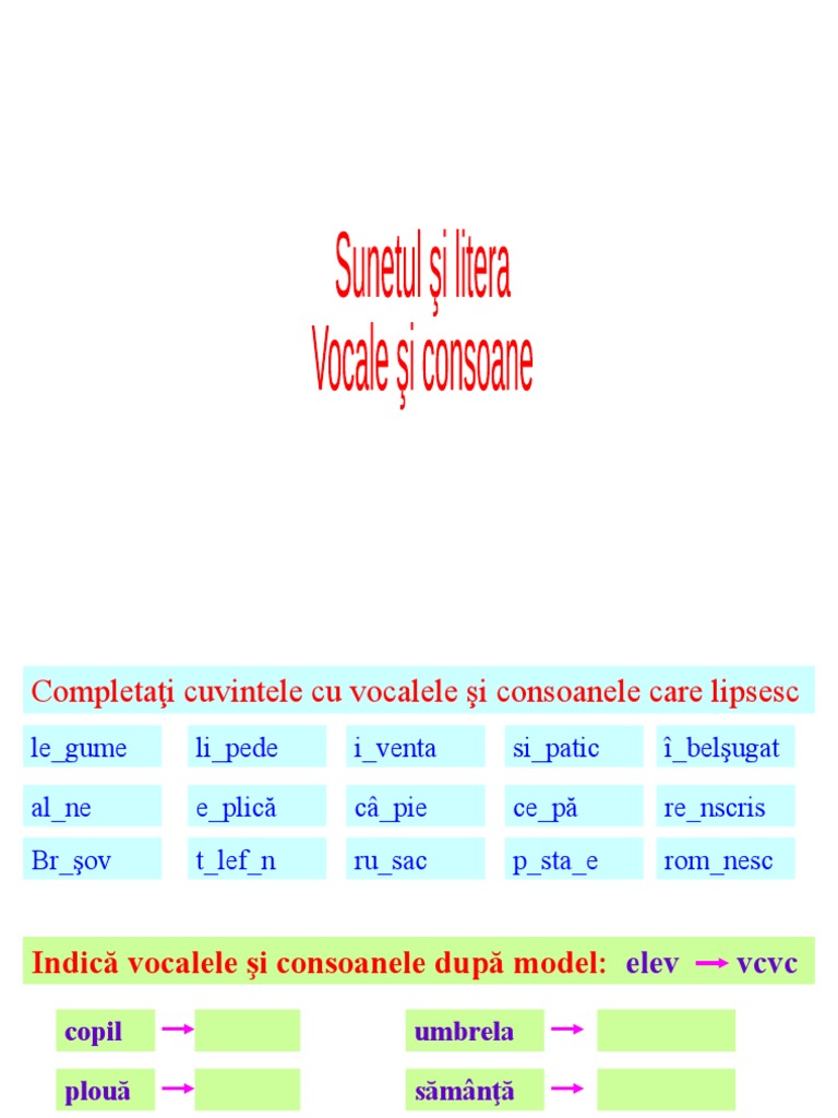 Vocale Și Consoane Exerciții | PDF