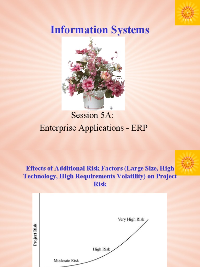 ERP Case Study | PDF | Enterprise Resource Planning | Customer ...