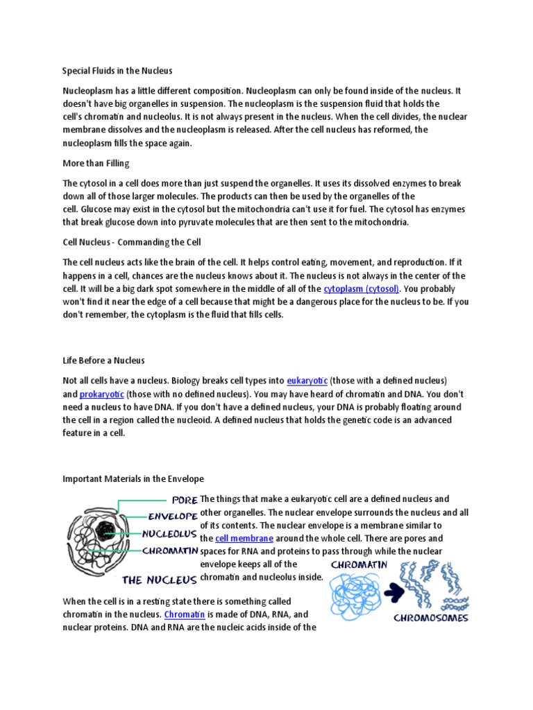Parts of The Cell | PDF | Cell Nucleus | Cytosol