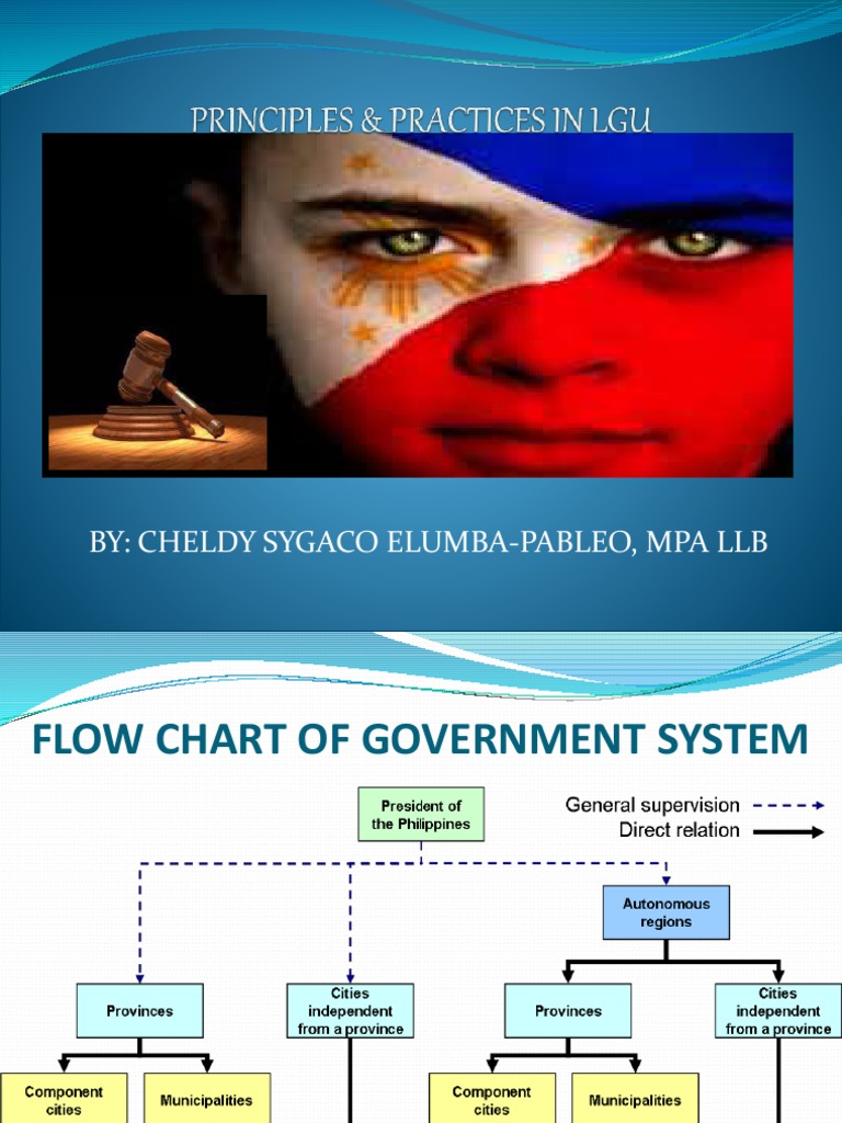 Lgu PDF | PDF | Local Government | Social Institutions