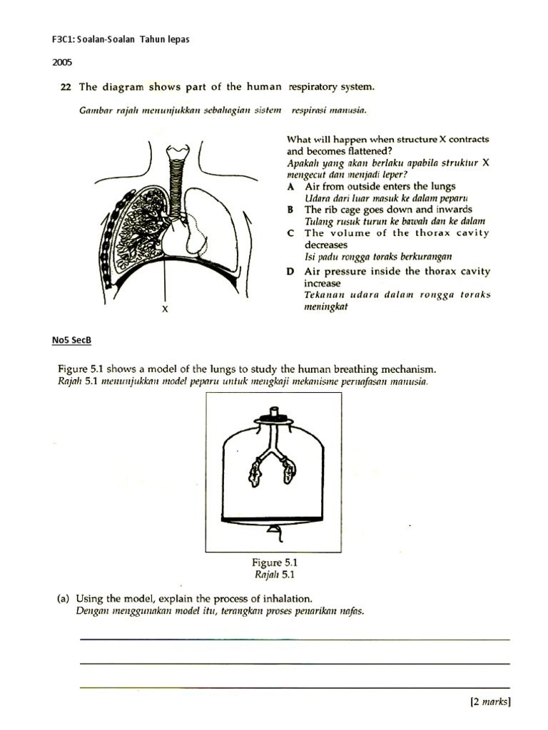 Science Form 3 Chapter 1 2005-2006 | PDF