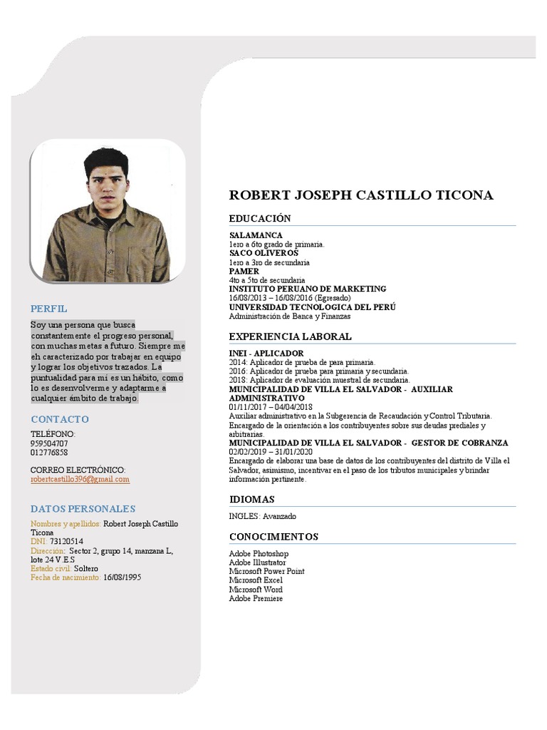 ROBERT CASTILLO Curriculum1 | PDF | Software de la aplicacion | Software