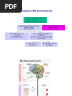 Pert 7. FARMAKOLOGI KLINIS Obat-Obat Sistem Syaraf Otonom ...