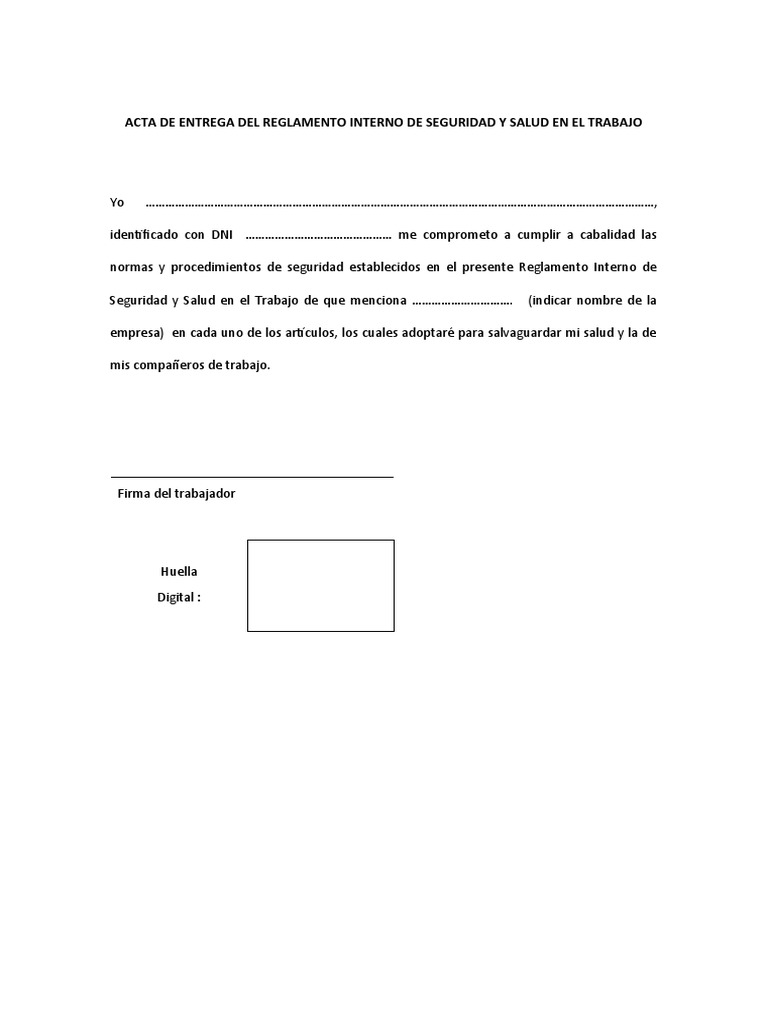 Acta de Entrega Del RISST (Registro de Entrega) | PDF