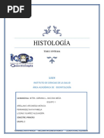 05 Tejidos Epiteliales III Especializaciones Del Dominio Basolateral ...