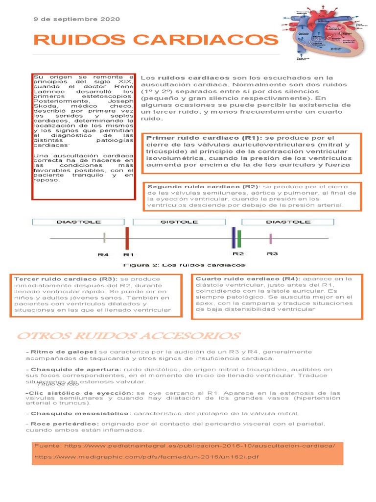 Ruidos Cardiacos | PDF | Corazón | Sistema cardiovascular