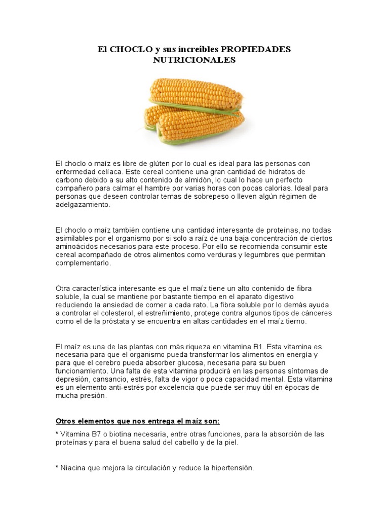 El CHOCLO y Sus Increíbles PROPIEDADES NUTRICIONALES | PDF | Cereales ...