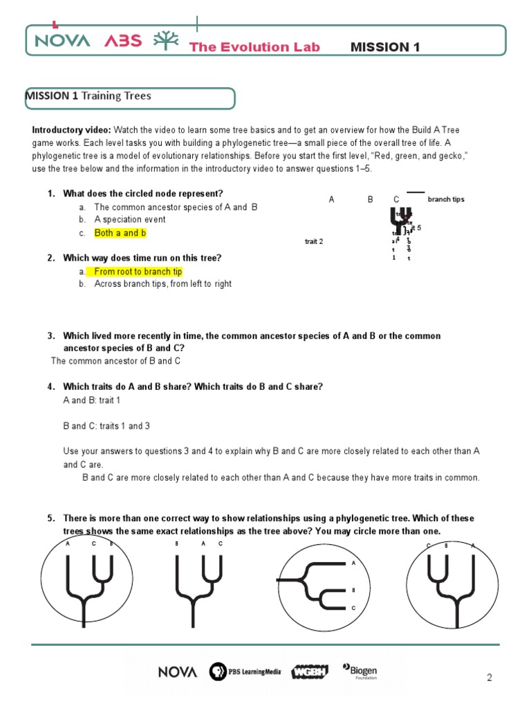 Mission 1 The Evolution Lab Pdf Phylogenetic Tree Plants