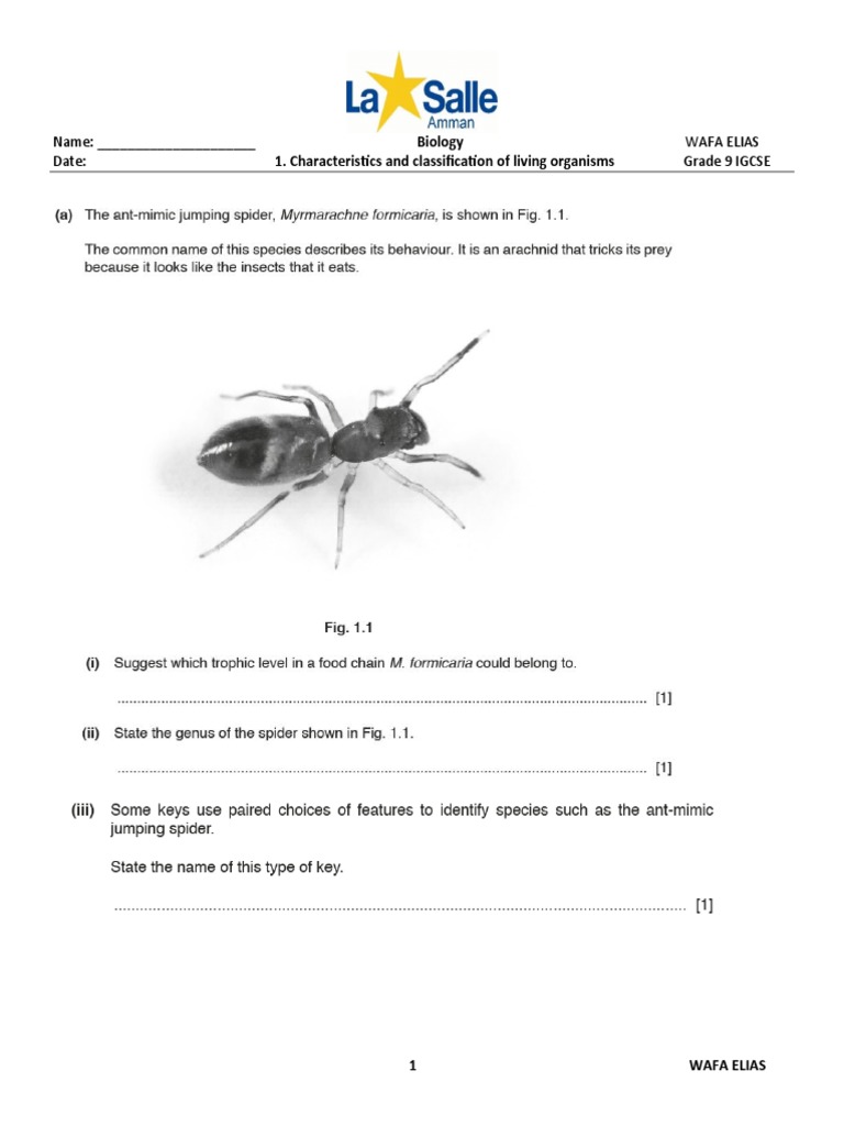 Classification Testbank P4 With Ms Pdf