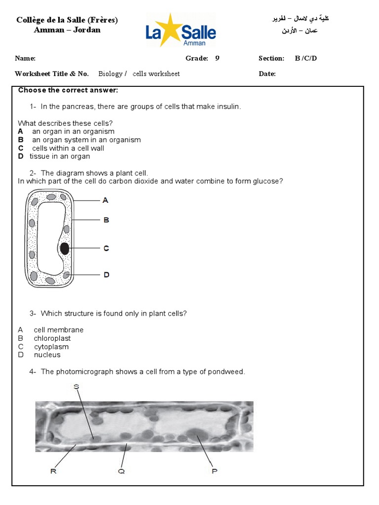 MCQ Cells | PDF | Wellness | Science & Mathematics