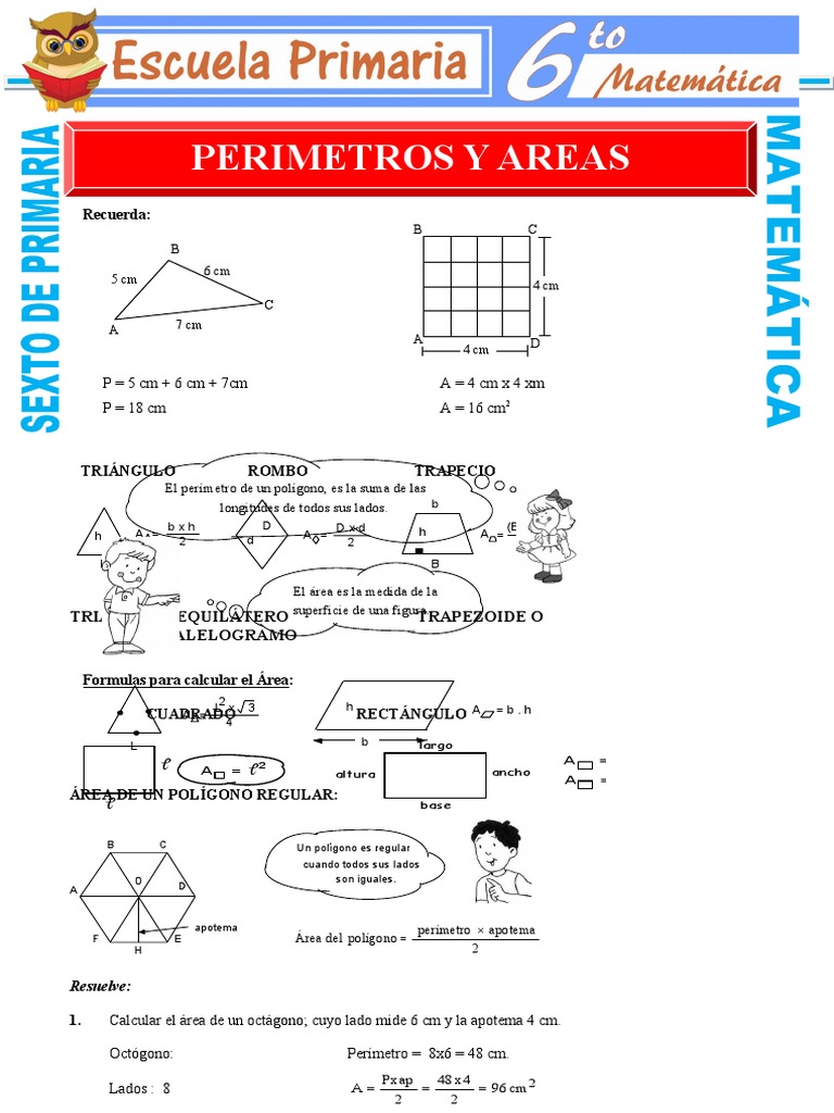 Ejercicios De Perimetros Y Areas Para Sexto De Primaria Pdf
