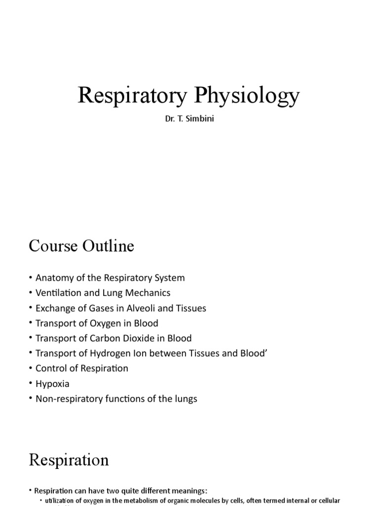 Respiratory Physiology Summary Notes | PDF | Respiratory Tract ...