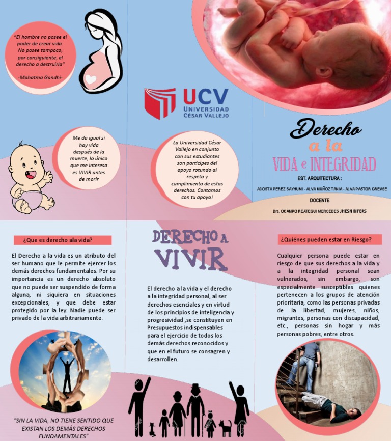 Triptico - Derechos Humanos | PDF | Gobierno | Instituciones sociales