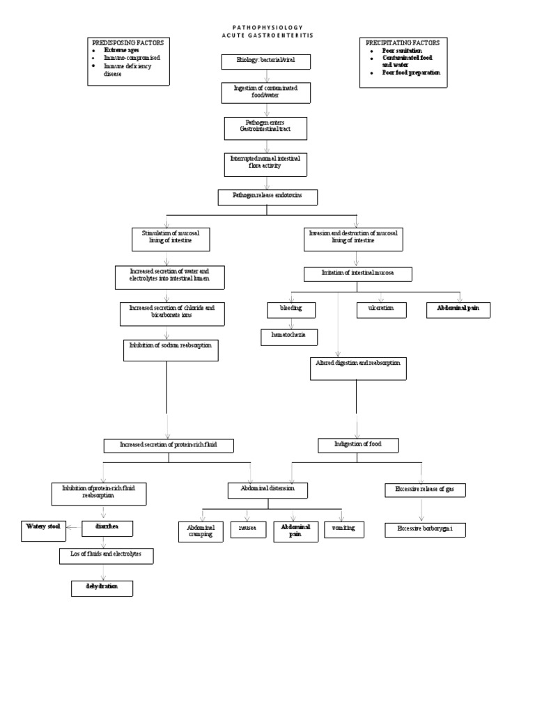 Pathophysiology | PDF | Gastrointestinal Tract | Health Sciences