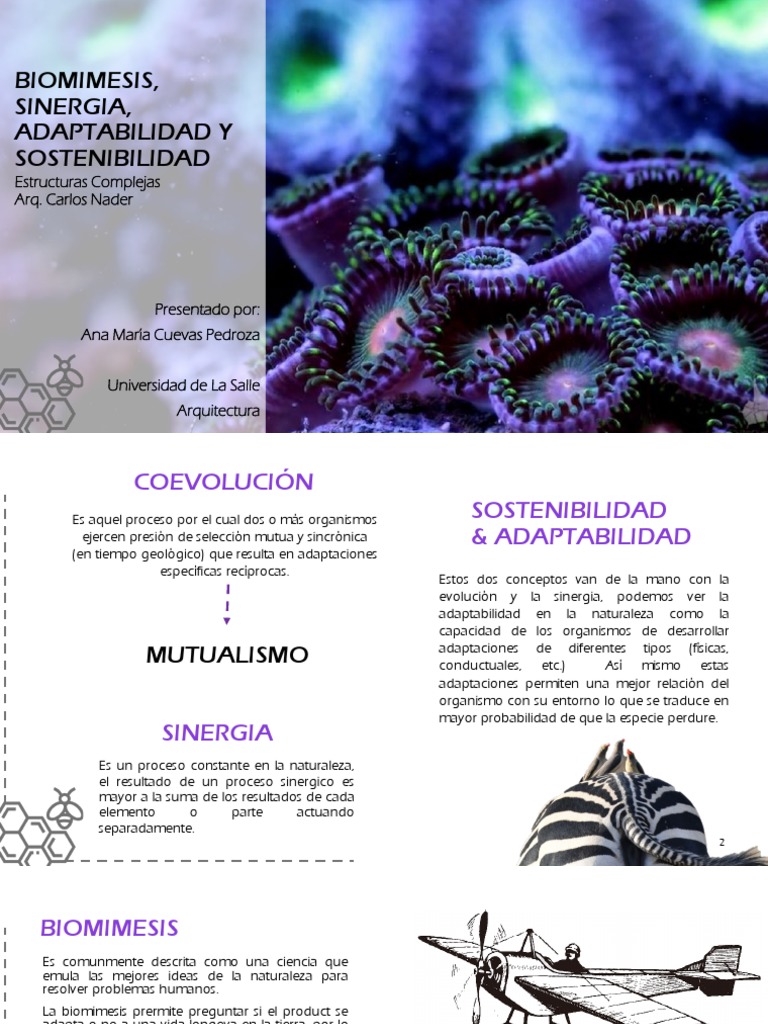 Biomimesis, Sinergia y Adaptabilidad | PDF | Naturaleza | Organismos