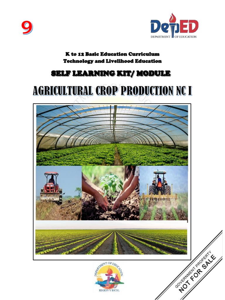 Module Grade 9 Quarter 1 AgriCrop 1 2 PDF | PDF | Personal Protective Equipment | Plough