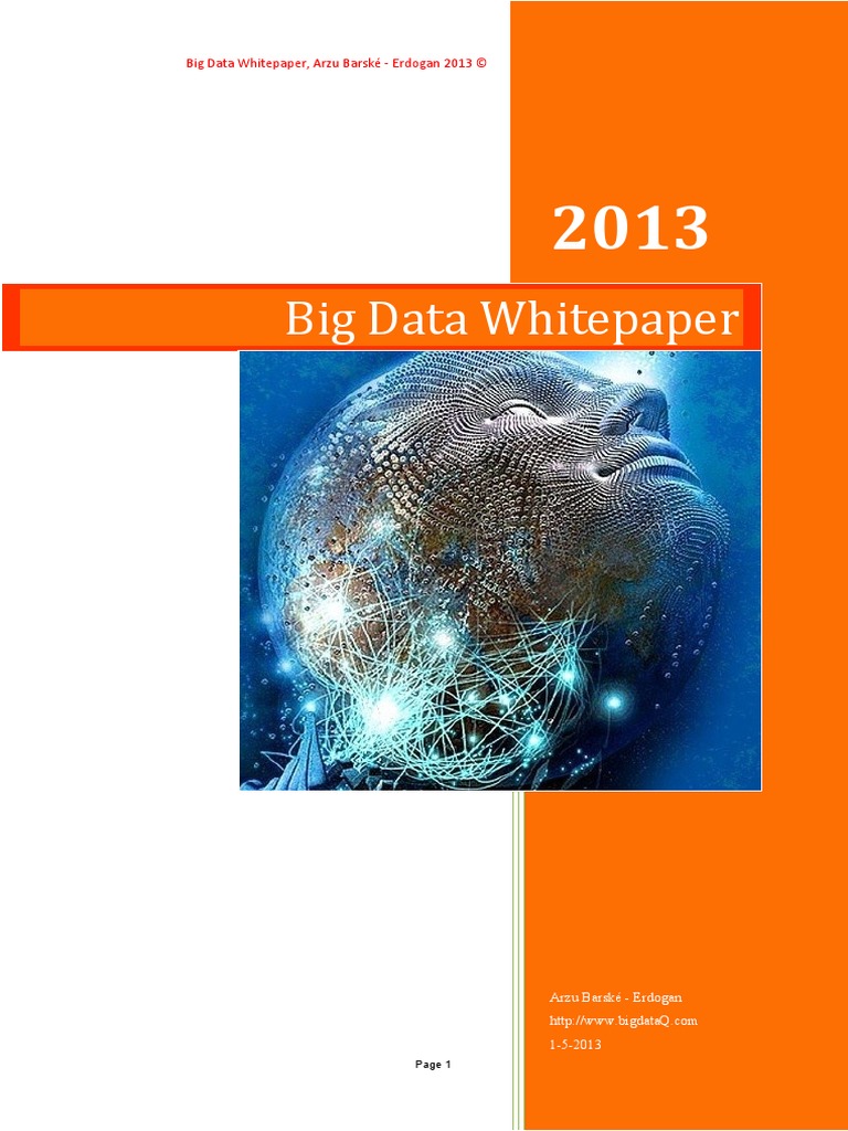 Big Data White Paper PDF | PDF | Big Data | Predictive Analytics