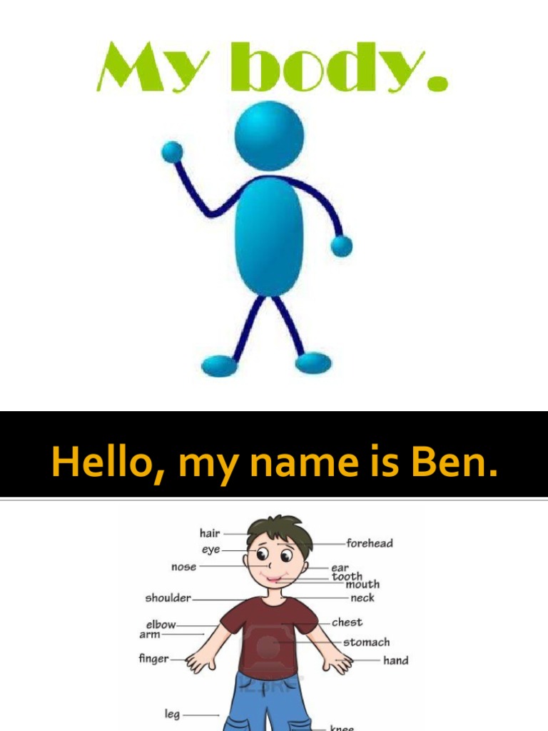 Body Parts PPT For Kids Easy and Interesting - 100581 | PDF