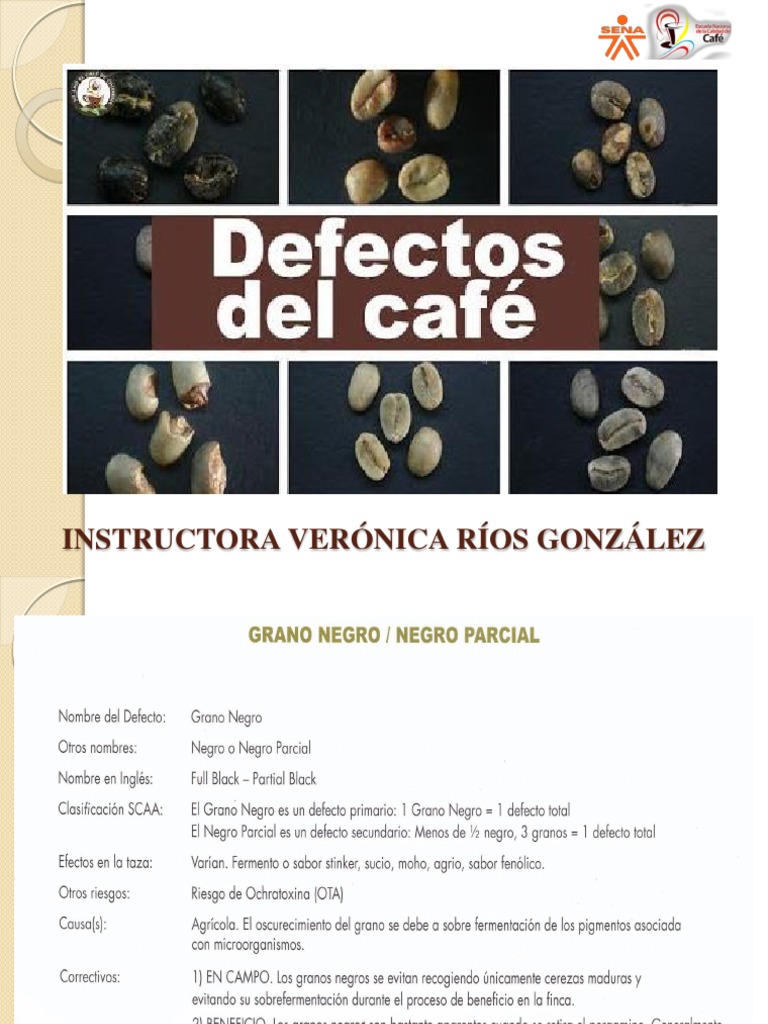 Presentación Defectos Del Cafe PDF | PDF