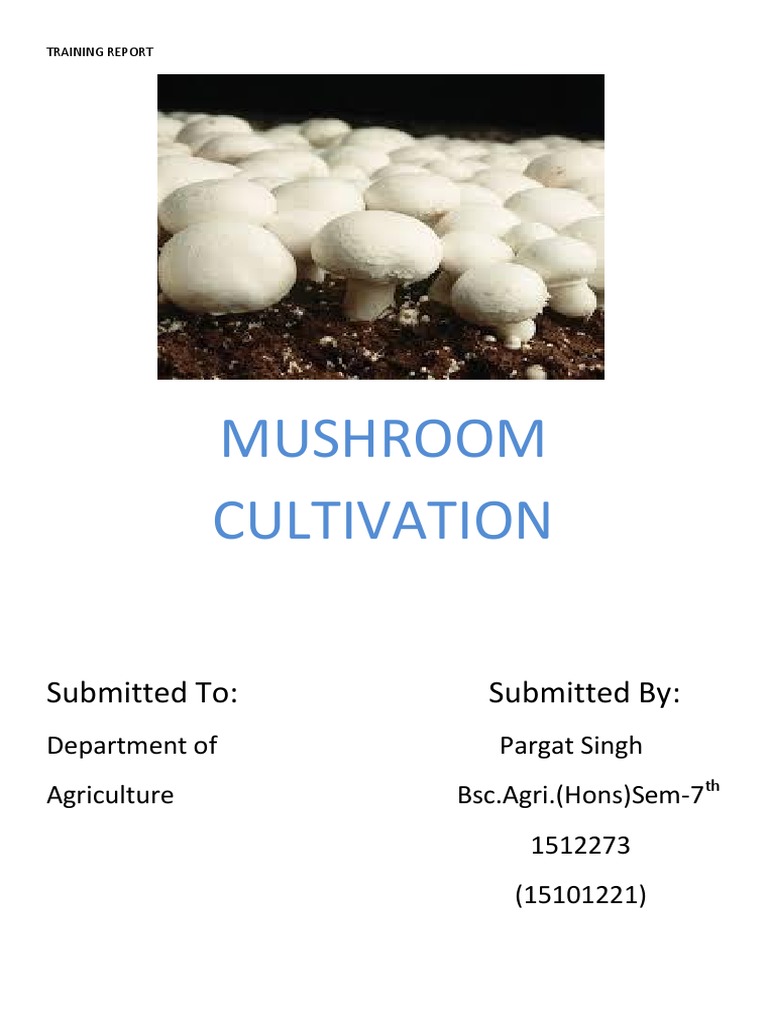 Training Report Mushroom Cultivation | PDF | Edible Mushroom | Food ...