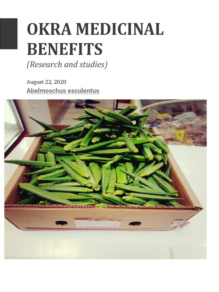 Medicinal Properties of Okra | PDF