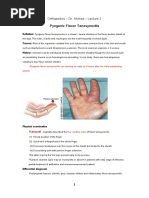 Brunner Incison Original | PDF | Hand | Finger