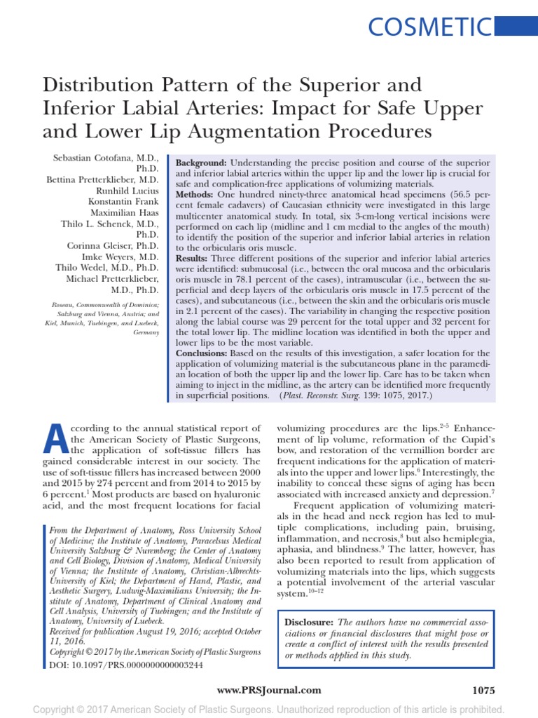 Distribution Pattern of The Superior and Inferior Labial Arteries ...