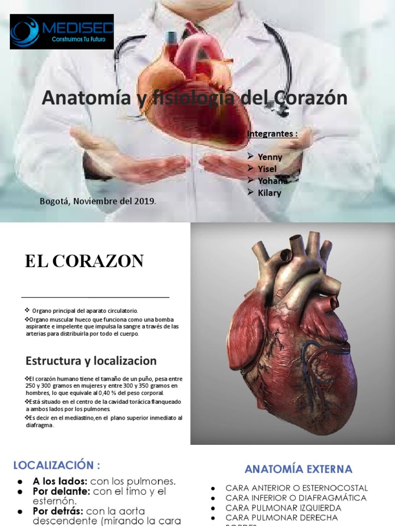 Diapositivas Del Corazon | PDF | Corazón | Ventrículo (corazón)