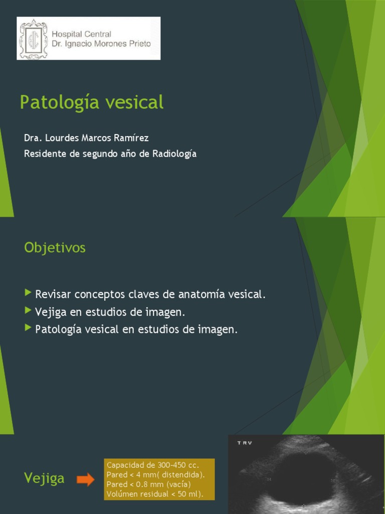 Patologia Vesical | PDF | Vejiga urinaria | Infección del tracto urinario