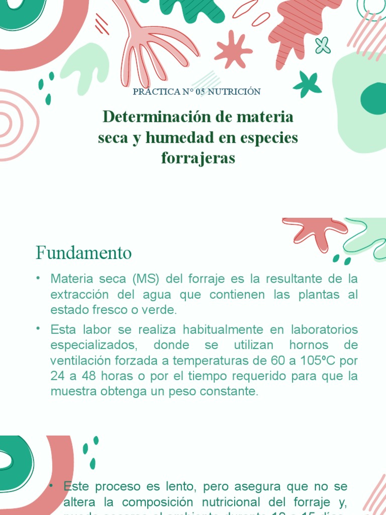 Practica Materia Seca | PDF