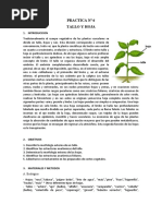 Tipos de Hojas | PDF