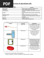 Year 7 Plant Cell Worksheet | PDF