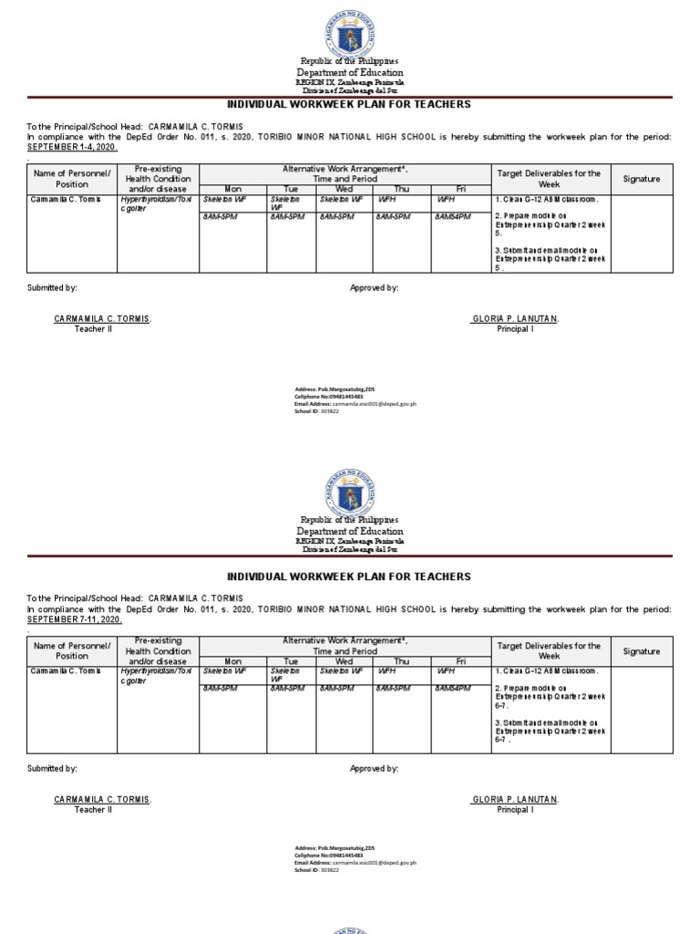 Individual Workweek Plan For Teachers: Department of Education | PDF | Wellness | Medical