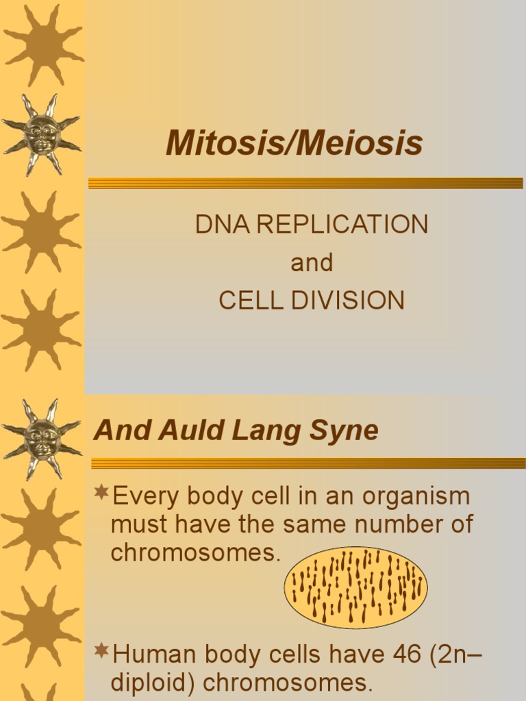 Mitosis/Meiosis: Dna Replication and Cell Division | PDF | Meiosis | Ploidy
