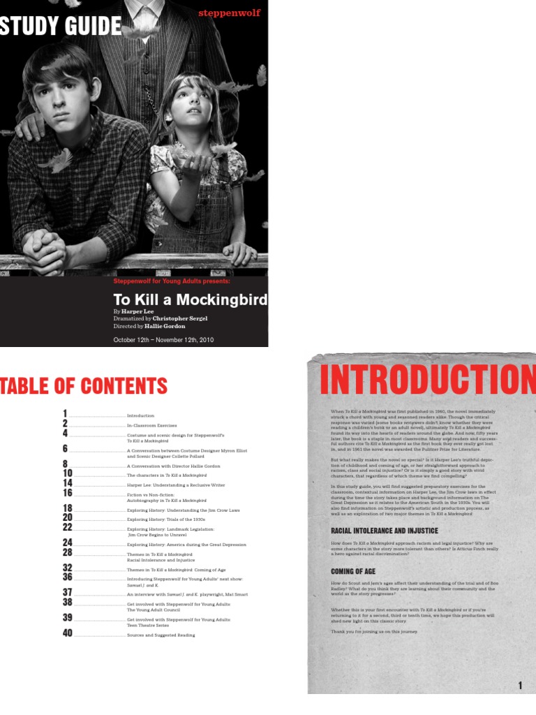 Study Guide: To Kill A Mockingbird | PDF | To Kill A Mockingbird ...