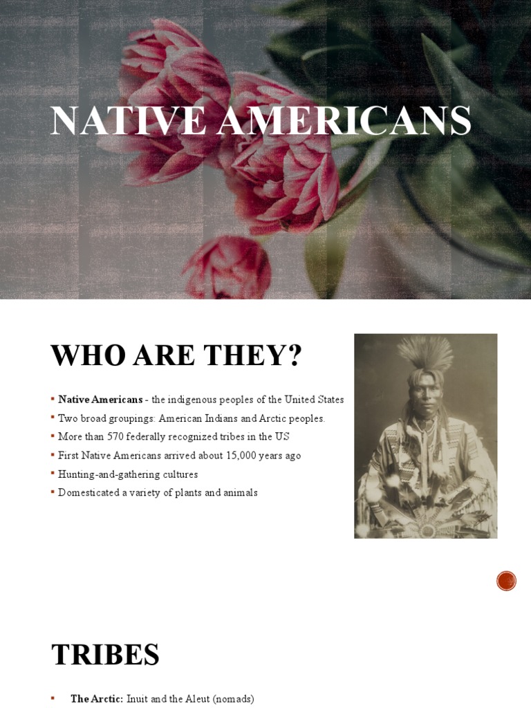 Native Americans | PDF | Native Americans In The United States ...