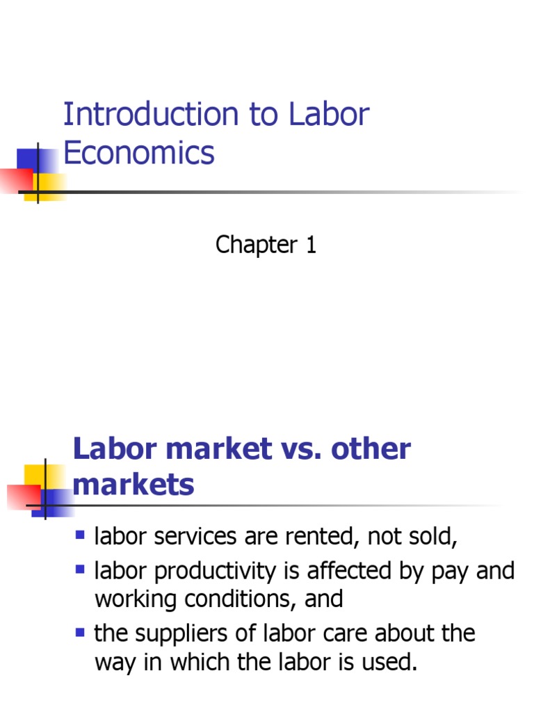 Introduction To Labor Economics | PDF