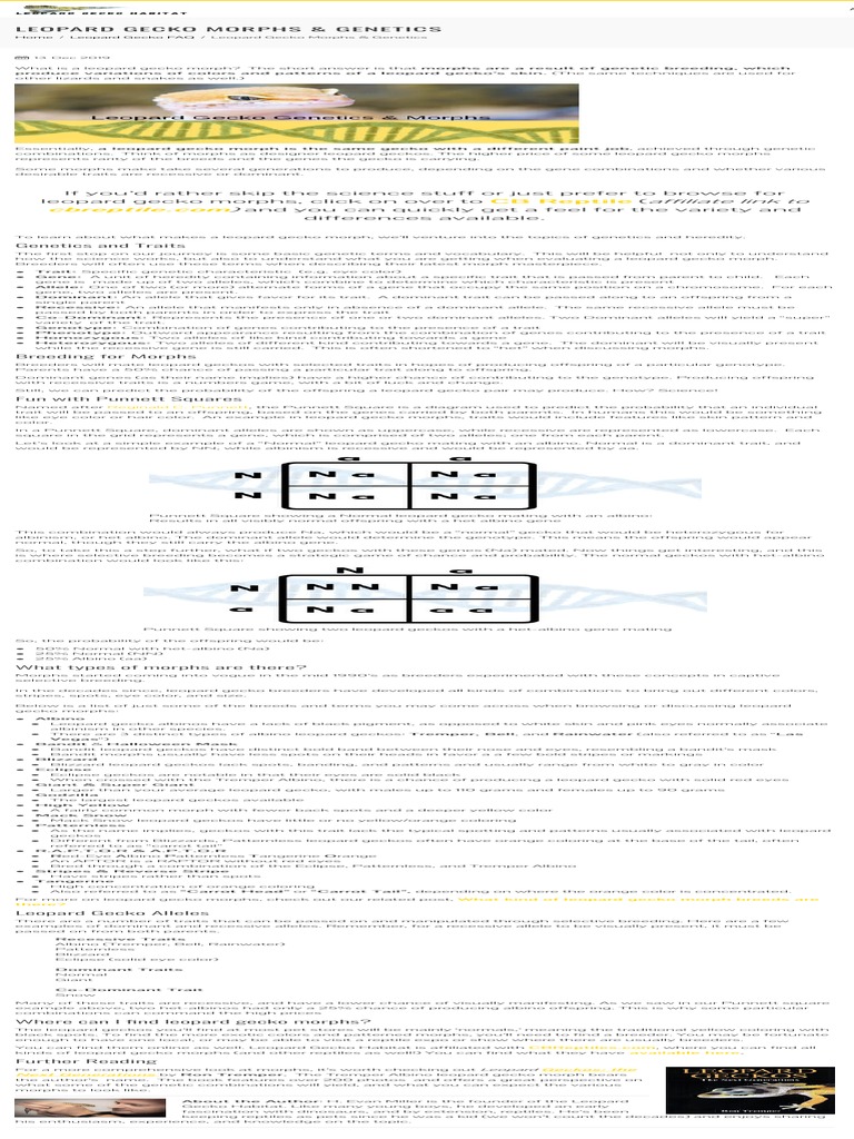 Understanding Leopard Gecko Morphs | PDF | Dominance (Genetics) | Allele