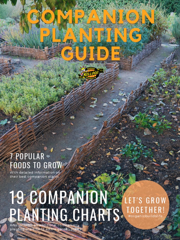 Companion Planting Guide With Charts | PDF | Carrot | Tomato