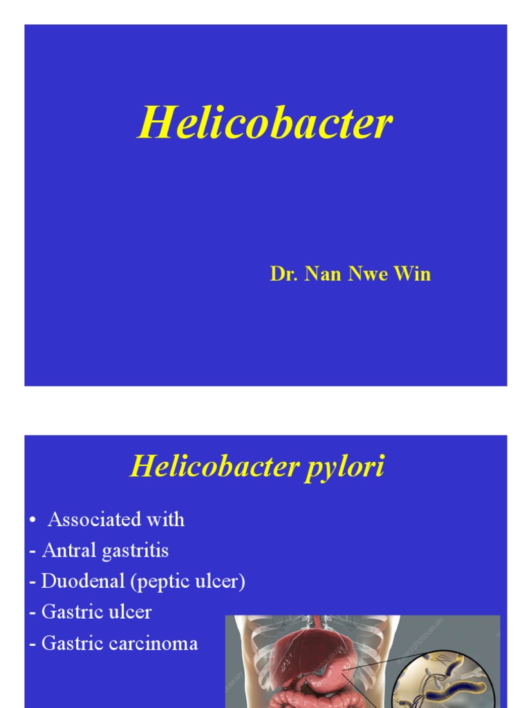 Helicobacter Campylobacter | PDF