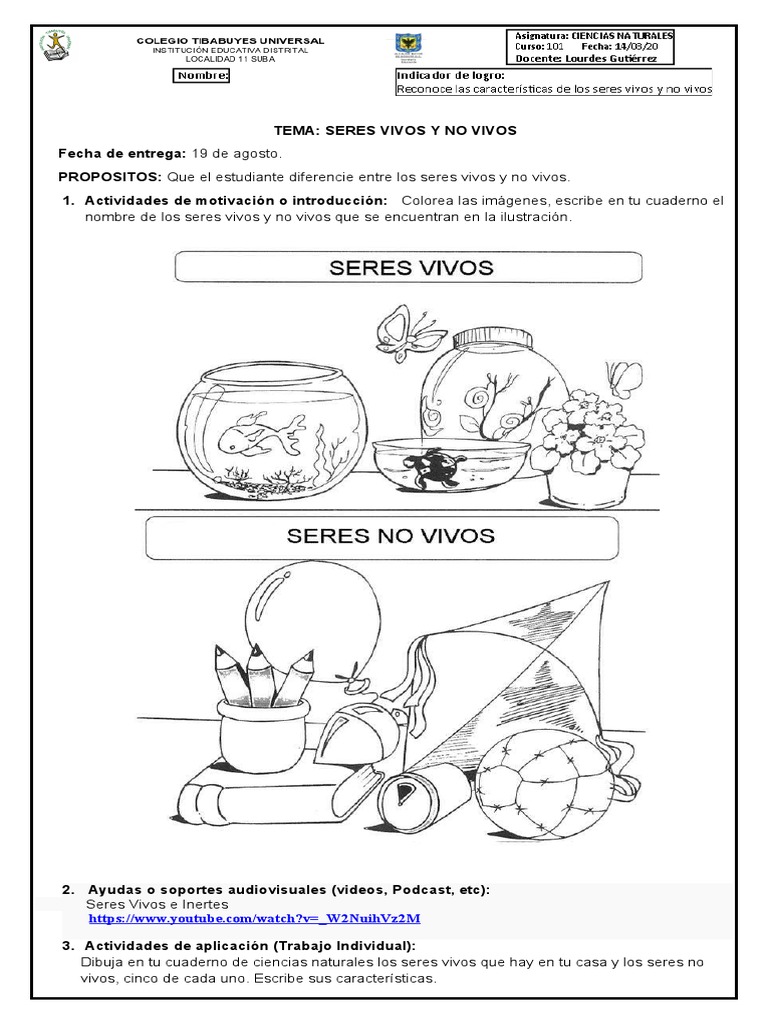 Actividades sobre Seres Vivos y No Vivos | PDF