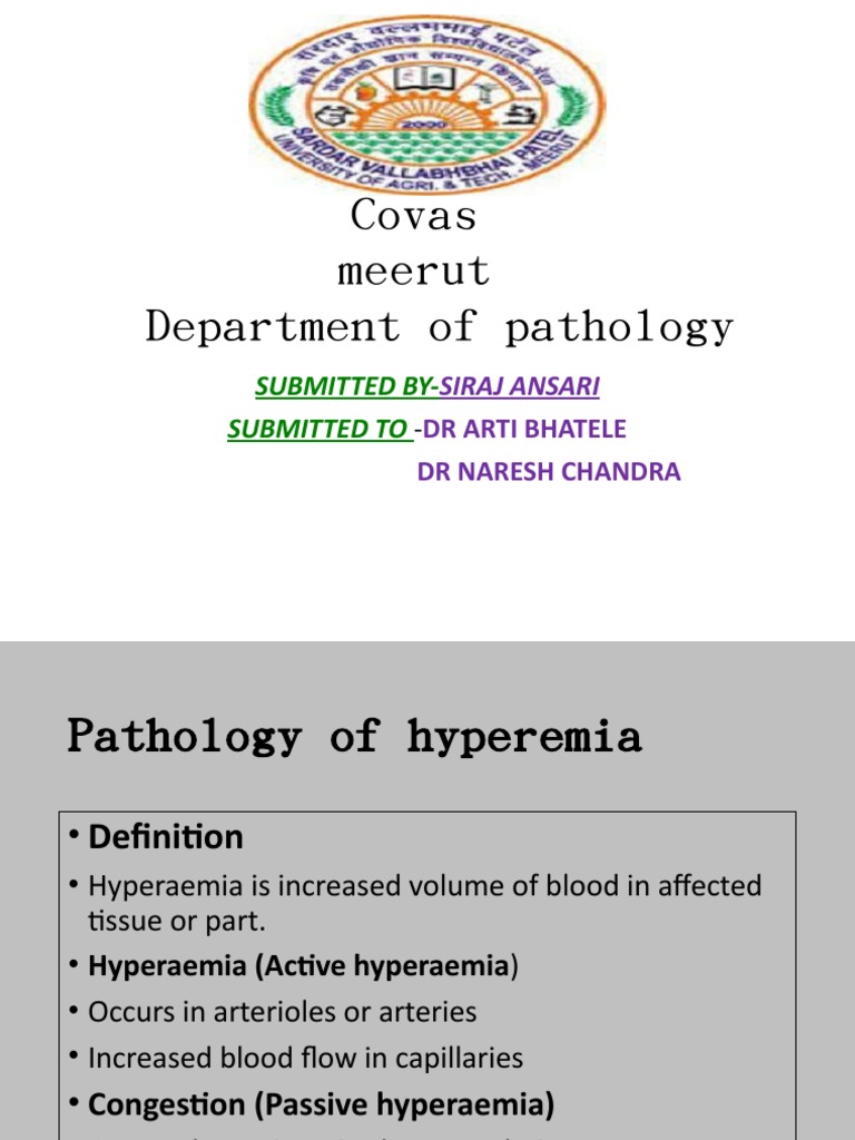 Pathology of Hyperemia and Congestion | PDF | Vein | Artery